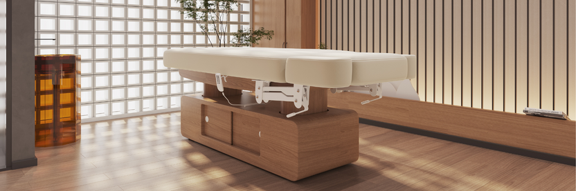 Spa Bed For Esthetician| BA SALON FURNITURE – Beauty Ace Salon Furniture
