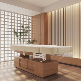 Spa Bed For Esthetician| BA SALON FURNITURE – Beauty Ace Salon Furniture