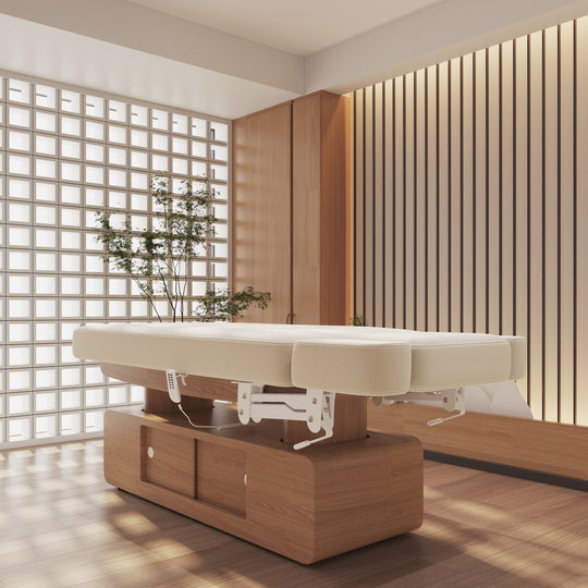 Spa Bed For Esthetician| BA SALON FURNITURE – Beauty Ace Salon Furniture