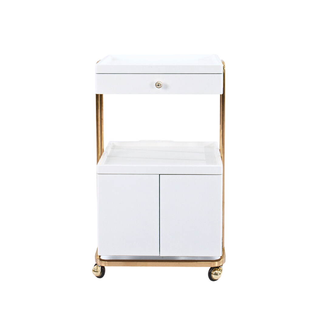 Beauty Trolleys Cart With Double Storage – Beauty Ace Salon Furniture