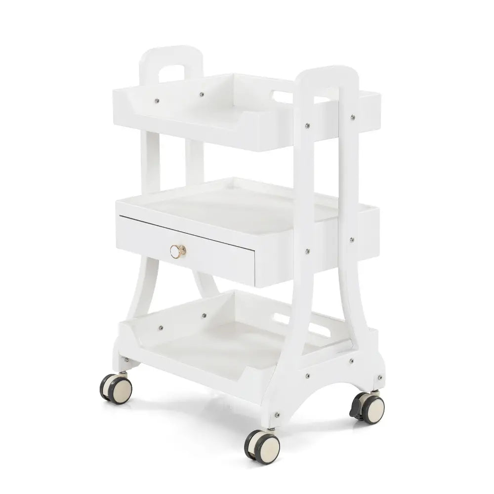 Loran Beauty Rolling Cart With Single Drawer – Beauty Ace Salon Furniture